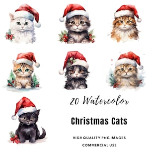 20 Christmas Cats Watercolor Cliparts Winter Holiday High Quality PNG ...
