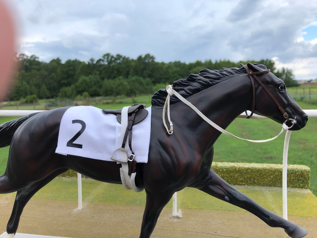 2 #2 Number Two Thoroughbred TB Race Horse Racehorse Race Cloth Back ...