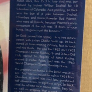 JET DECK With Fully Lined Blanket American Quarter Horse AQHA Champion ...