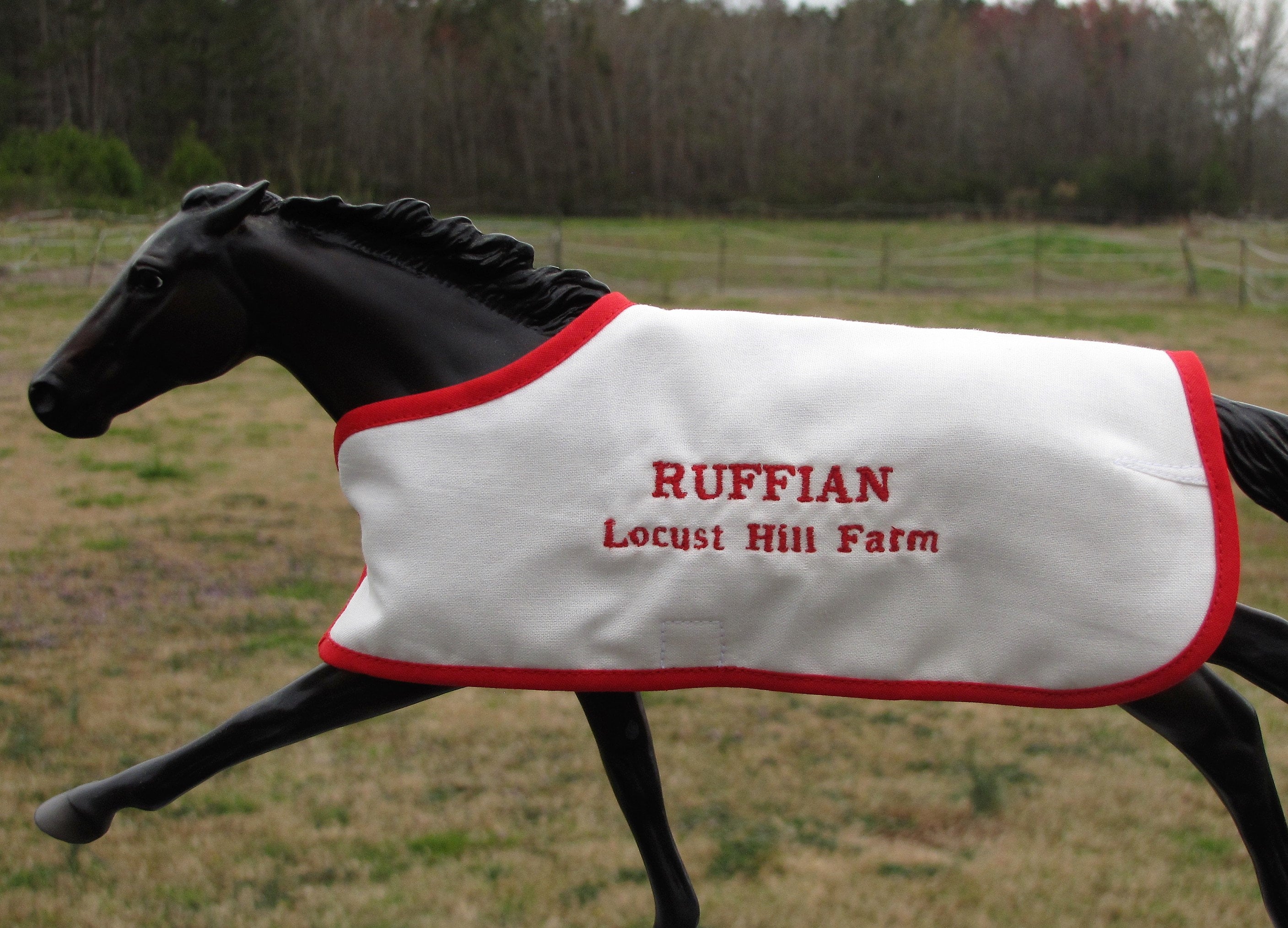 RUFFIAN Famous Thoroughbred Race Racehorse Horse CM Embroidered Blanket ...