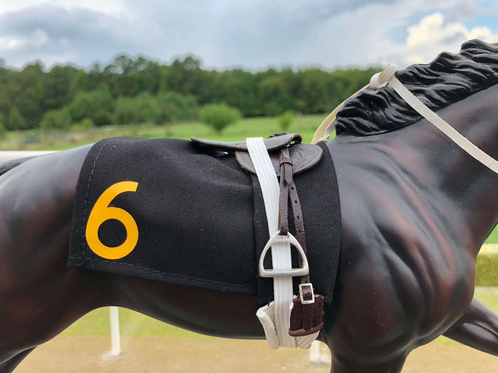 6 6 Number Six Thoroughbred TB Race Horse Racehorse Race Cloth Back ...
