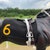 6 6 Number Six Thoroughbred TB Race Horse Racehorse Race Cloth Back ...