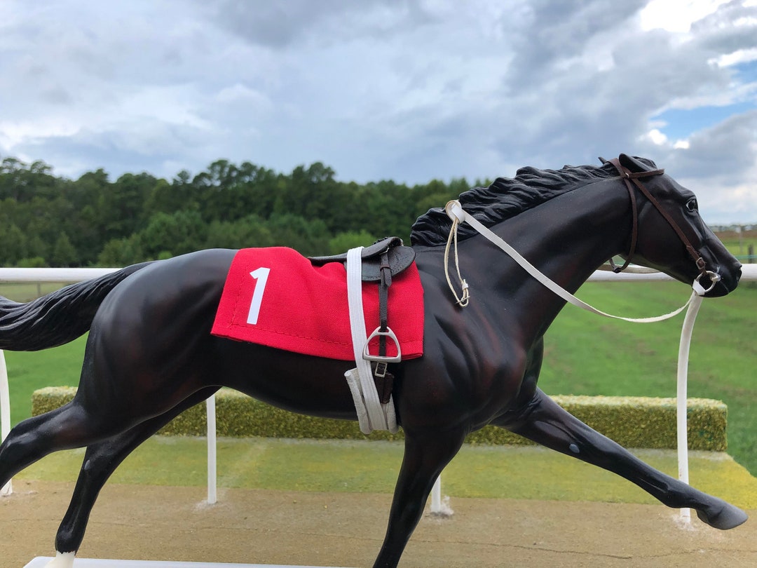 1 #1 Number One Thoroughbred TB Race Horse Racehorse Race Cloth Back ...