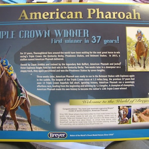 AMERICAN PHAROAH Racehorse Race Horse Thoroughbred Tb Triple Crown ...