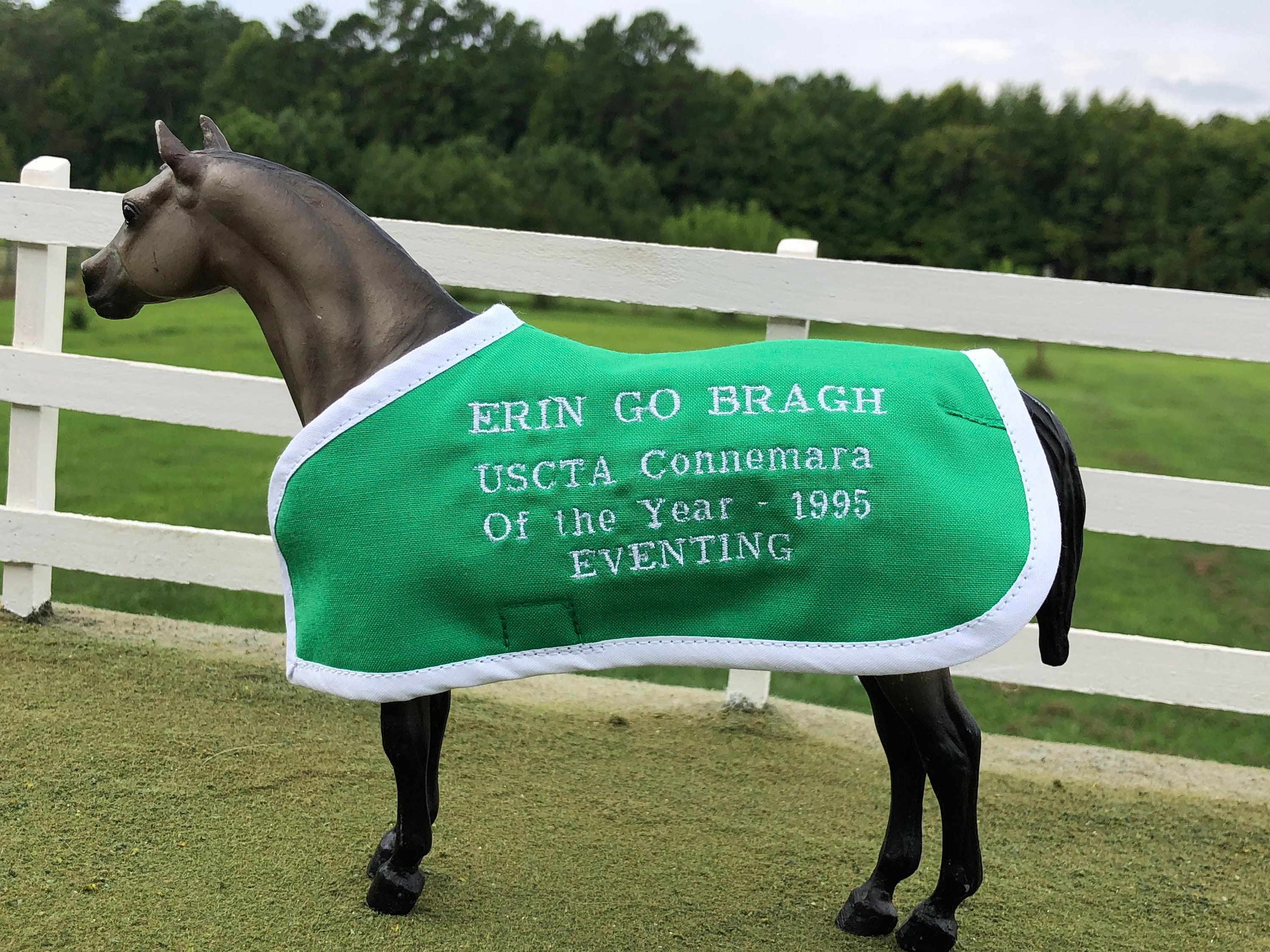 Erin Go Bragh Horse