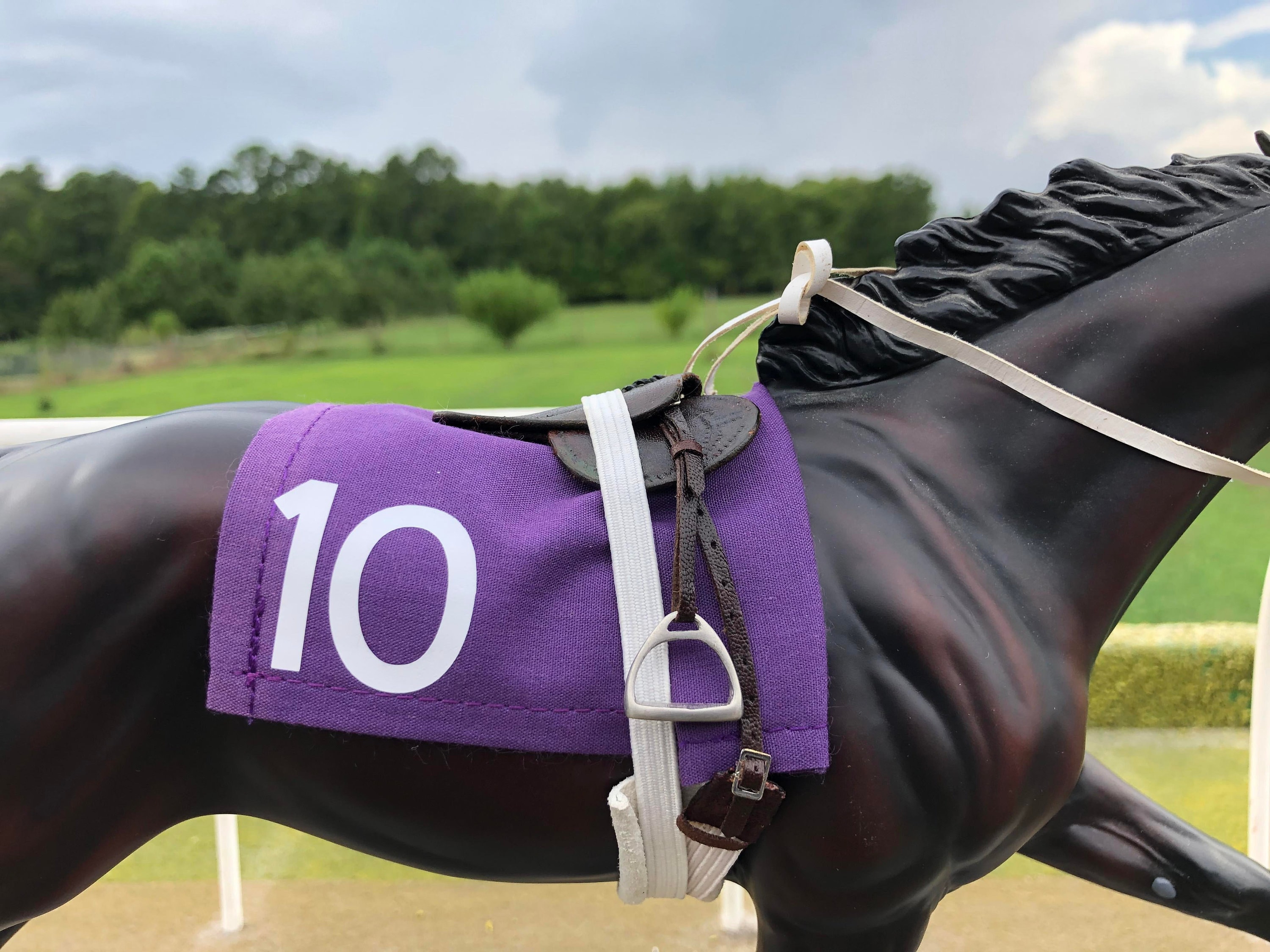 10 #10 Number Ten Thoroughbred TB Race Horse Racehorse Race Cloth Back ...