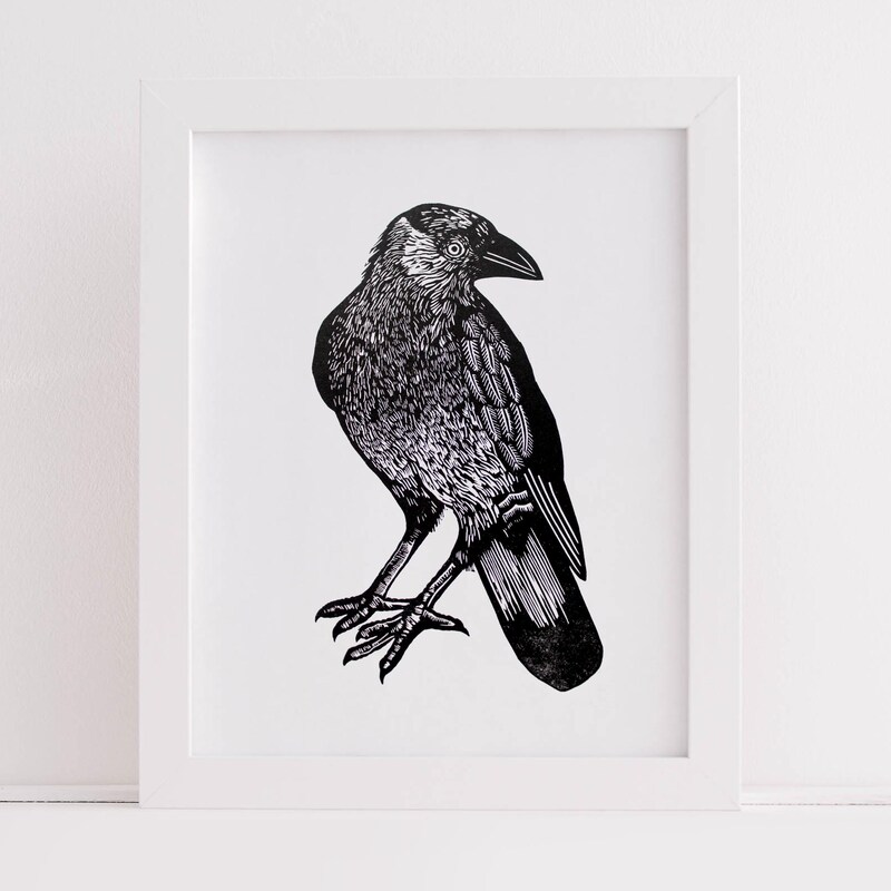 Jackdaw - Etsy