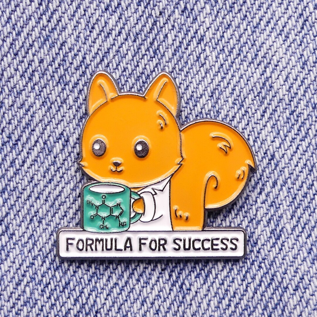 Squirrel Formula for Success Work Humour Funny Brooch - Etsy