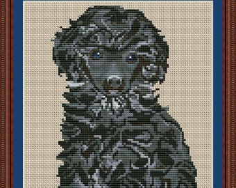 Poodle Cross Stitch - Etsy