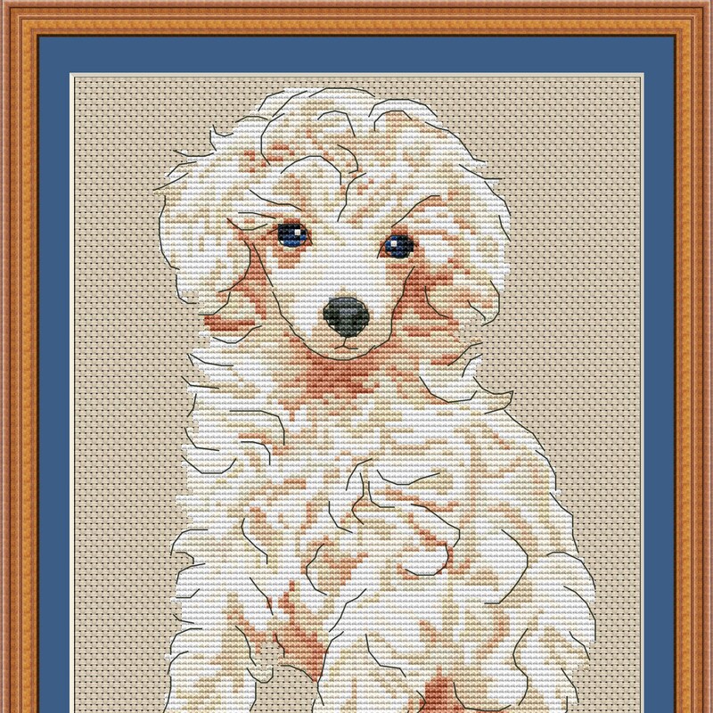 Poodle Cross Stitch - Etsy