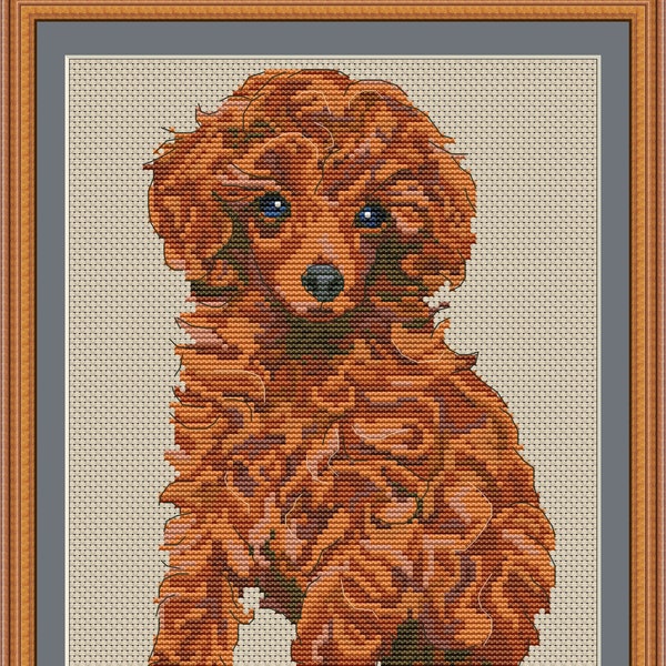 Toy Poodle - Etsy