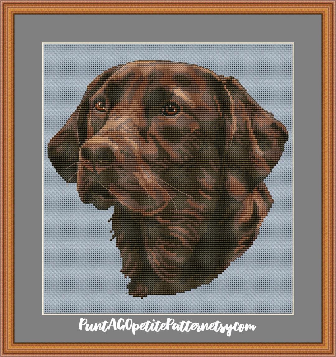 Chocolate Labrador Portrait Cross Stitch Pdf Pattern - Etsy