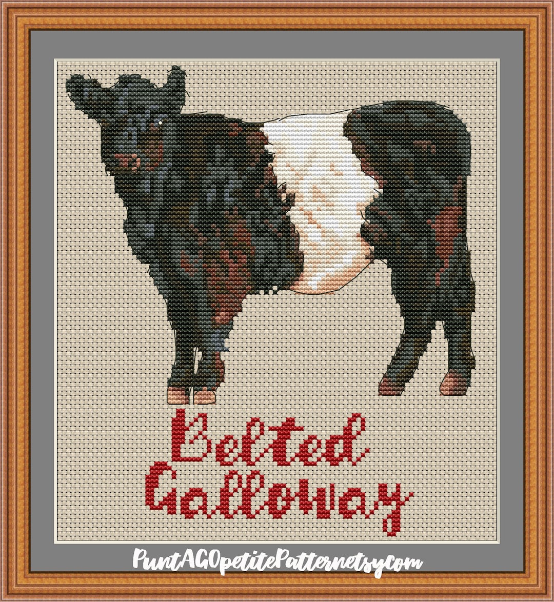 Belted Galloway Cattle Cross Stitch Pdf Pattern - Etsy