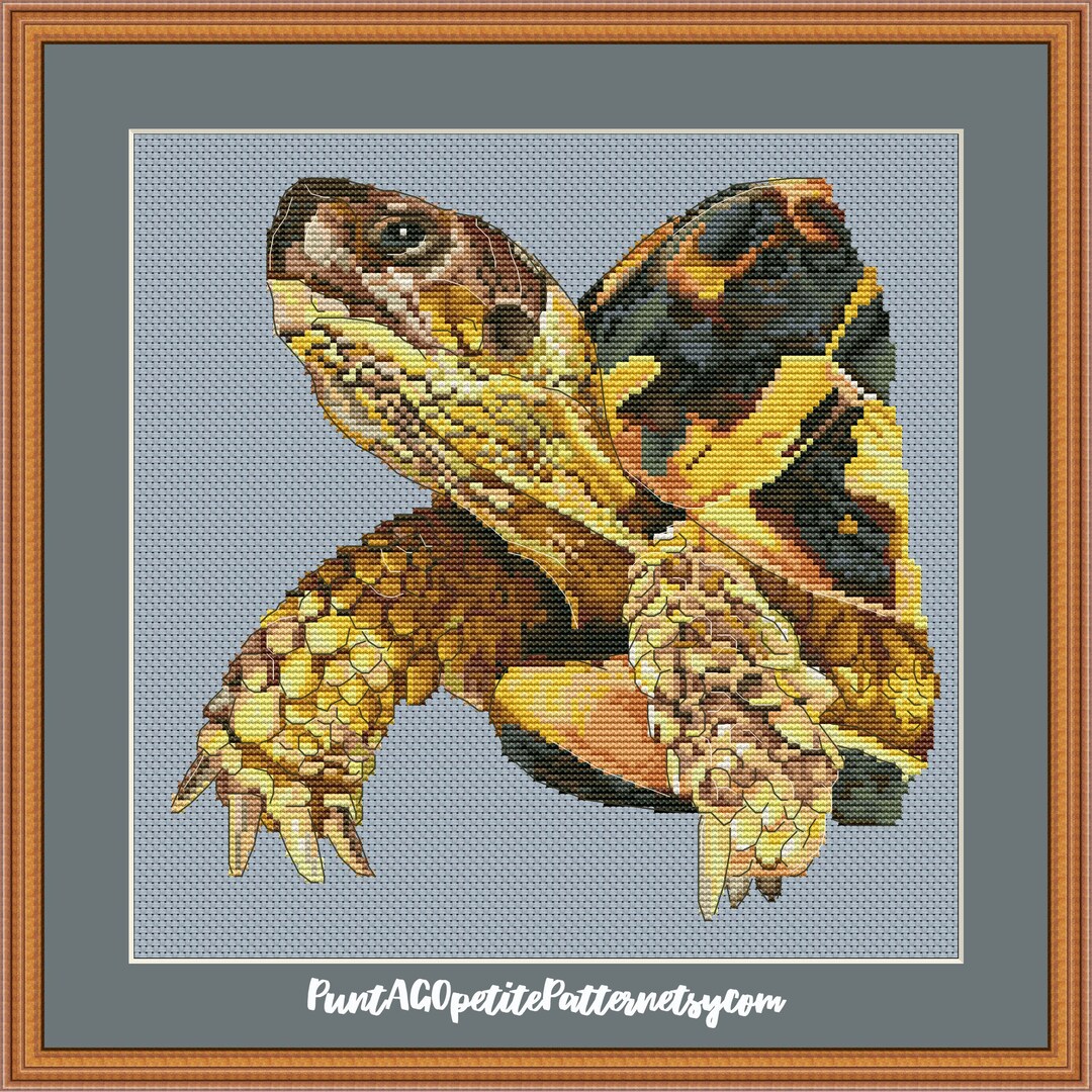 Hermanns Tortoise Portrait Cross Stitch Pdf Pattern - Etsy