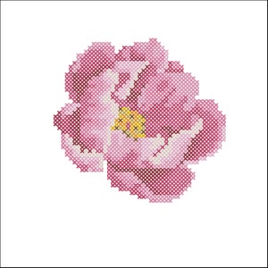 Mini Cross Stitch Pink Peony Petit Point Pdf Pattern - Etsy