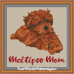 Maltipoo Mom Cross Stitch Pdf Pattern - Etsy