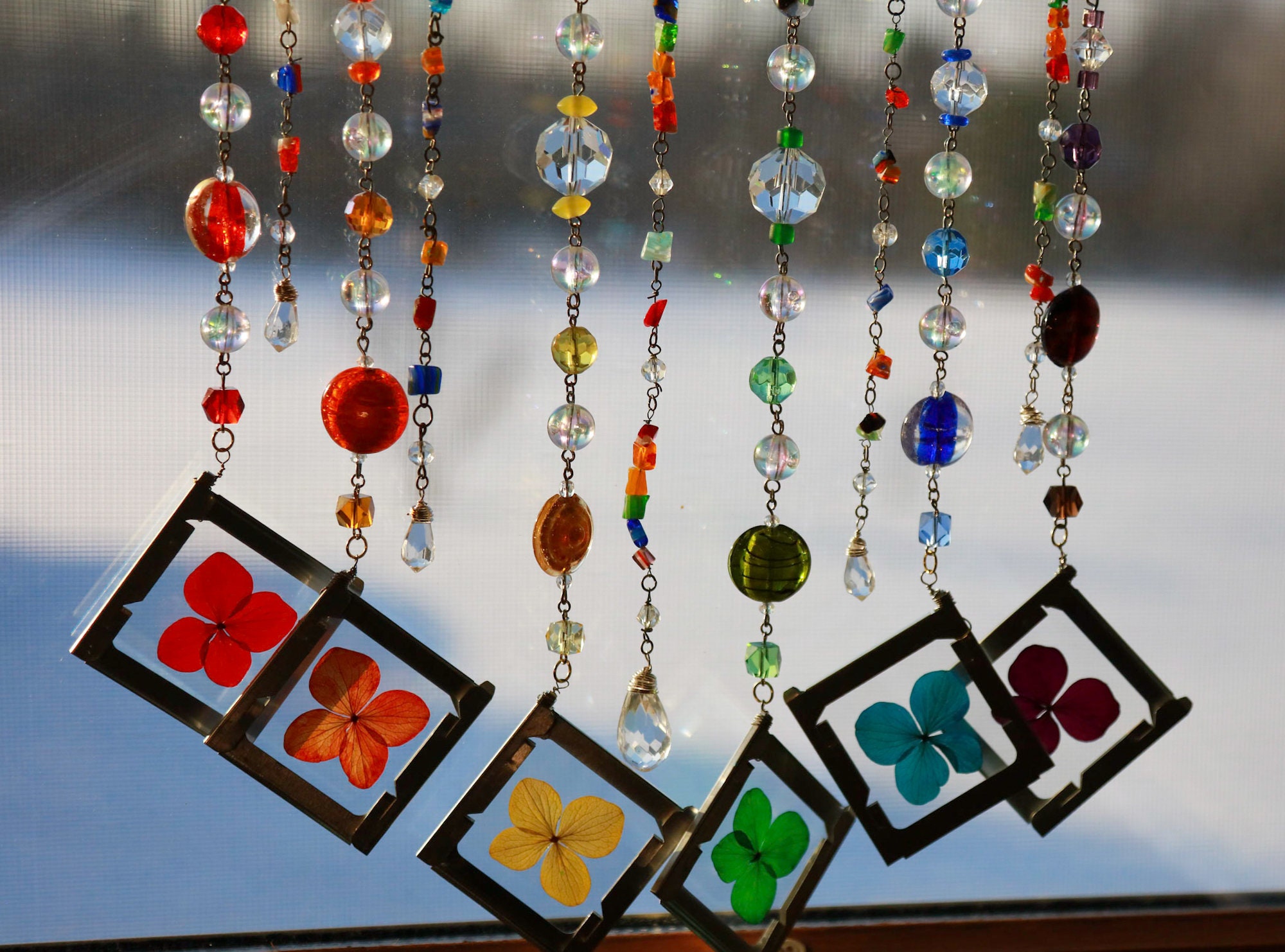 Hand Crafted Rainbow Pressed Flower Sum Catcher - Etsy
