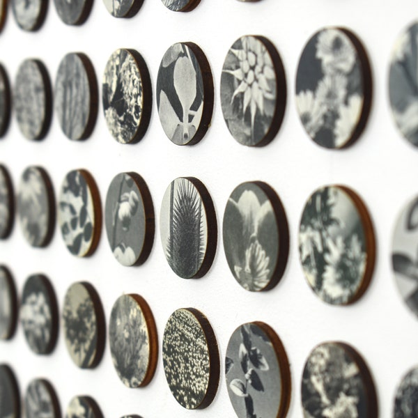 Biophilic Art - Etsy