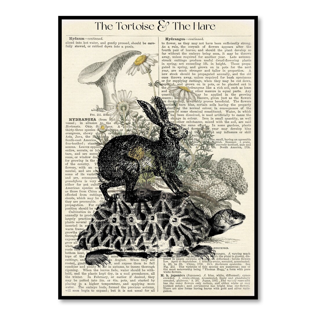 Retro Wall Art. the Tortoise and the Hare Print. Vintage Nursery ...