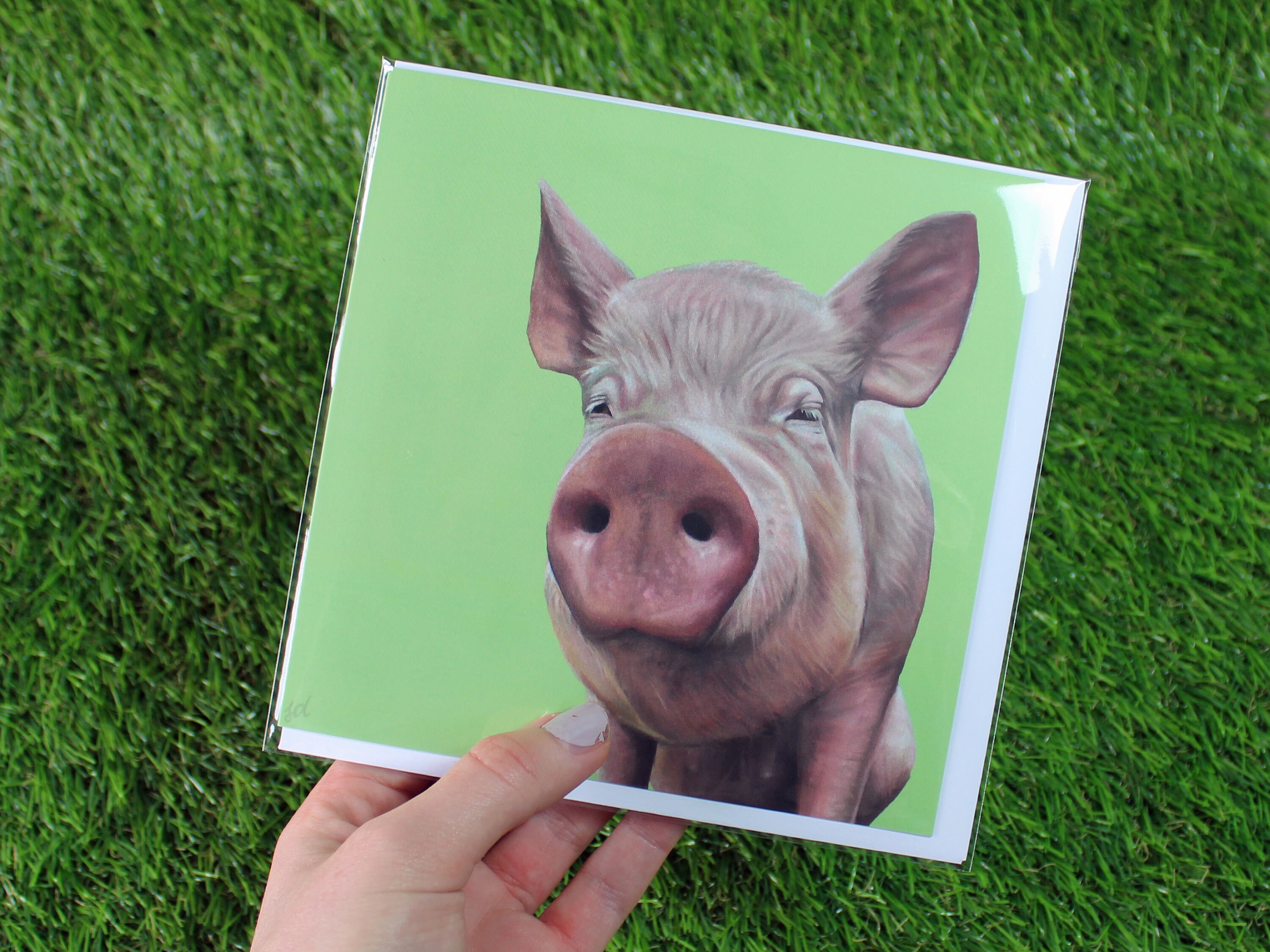 Pig Greeting Card Pig Card Blank Card Birthday Thank You Polly the Pig ...