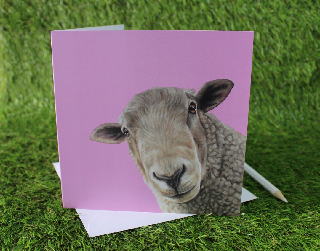 Sheep Greeting Card Sheep Card Blank Card Birthday Thank You Sally the ...