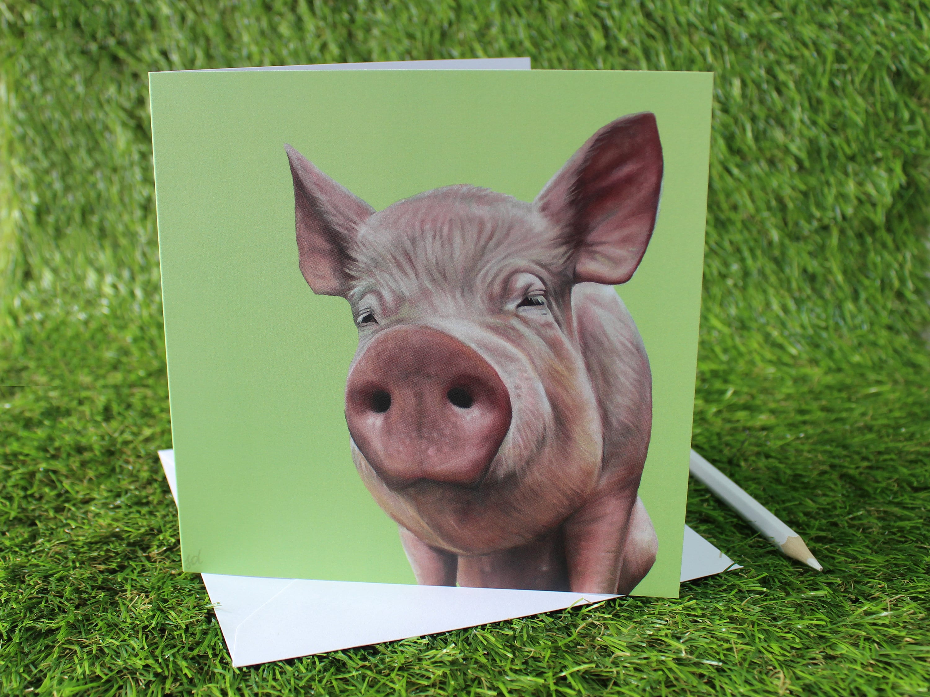 Pig Greeting Card Pig Card Blank Card Birthday Thank You Polly the Pig ...