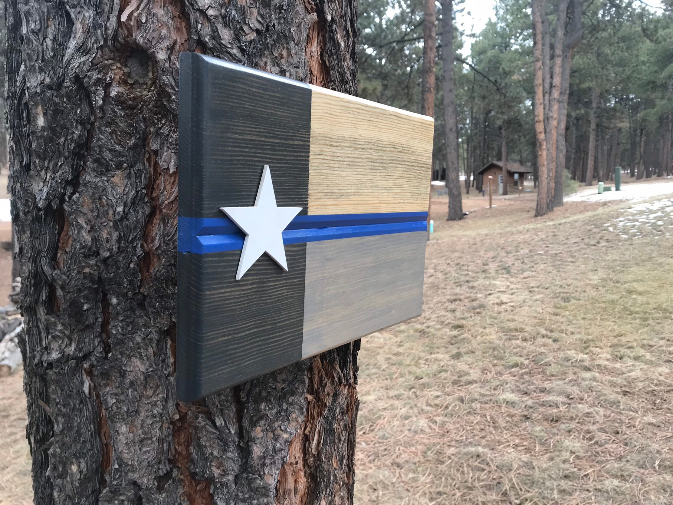 Texas Thin Blue Line Flag - Etsy
