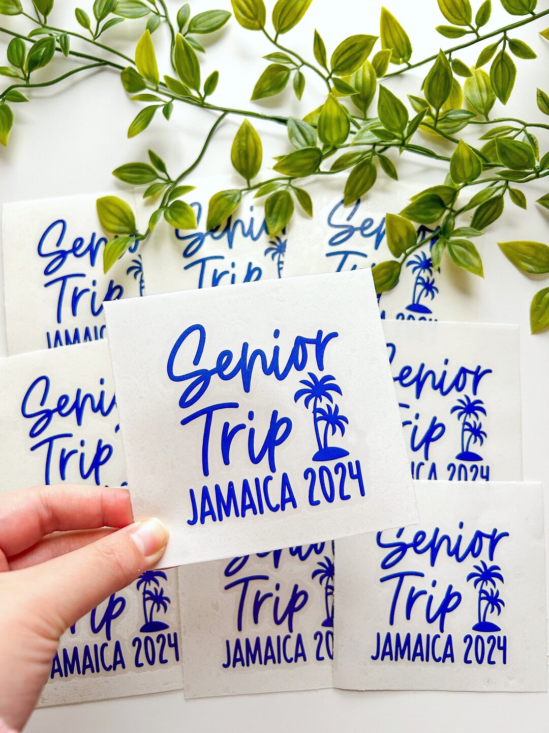 Senior Trip 2025, Spring Break Sticker, Water Resistant Tumbler Decals ...