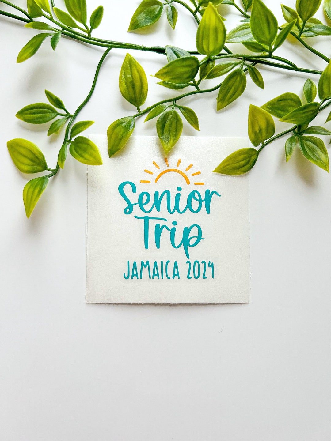 Senior Trip 2025, Spring Break Sticker, Water Resistant Tumbler Decals ...