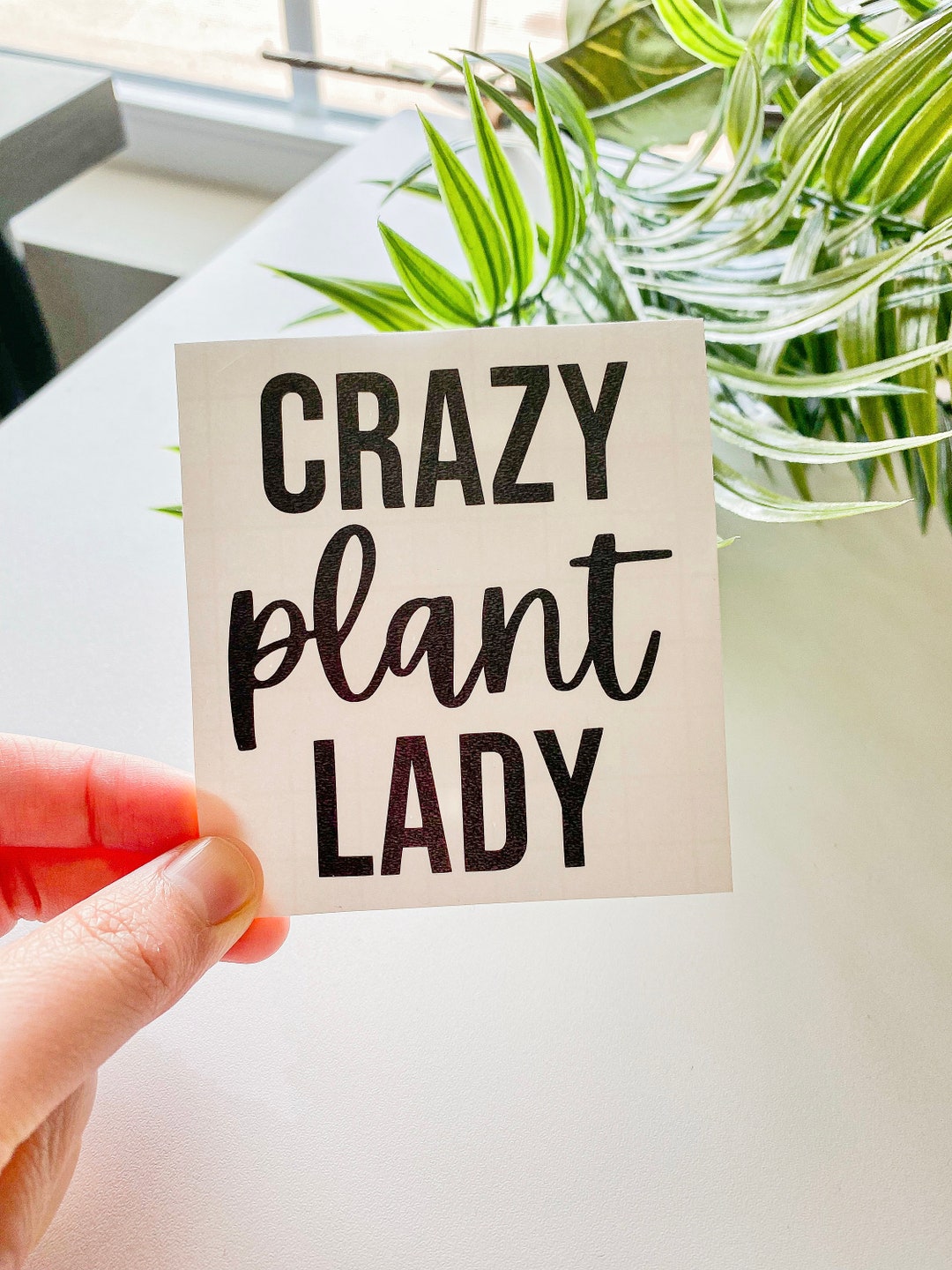 Crazy Plant Lady Sticker, Water Resistant, Funny Plant Pot Sticker ...
