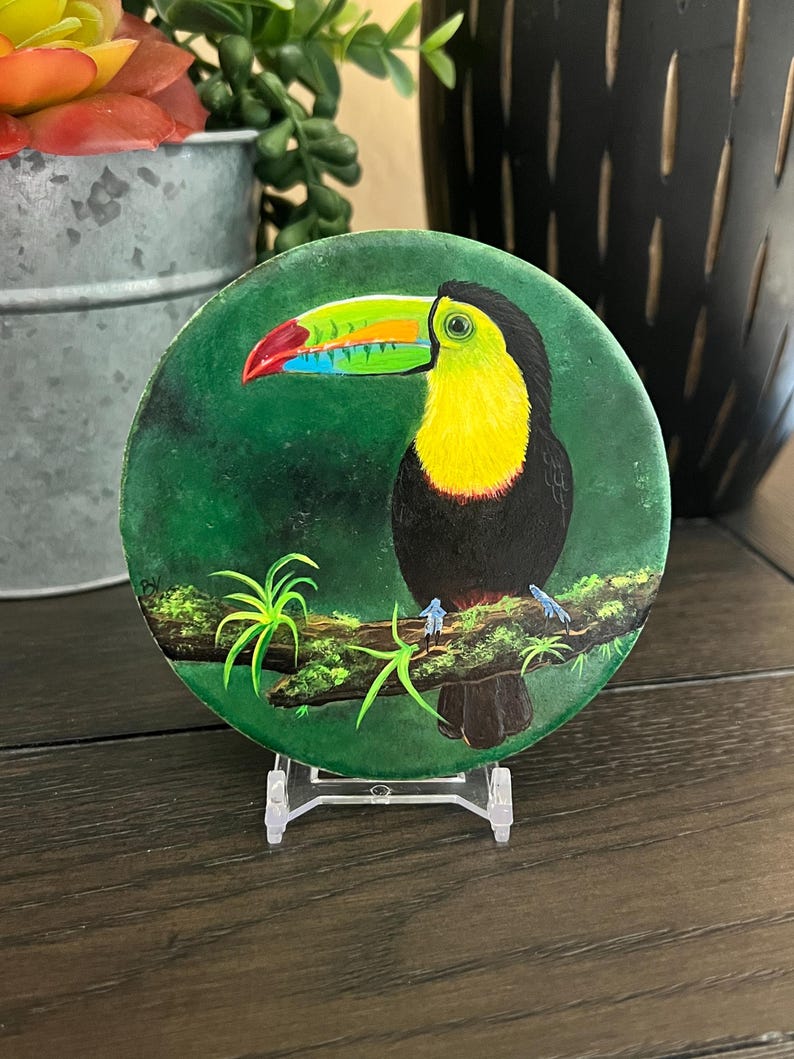 Hand-painted Toucan on Santorini Stone - Original Art Acrylic Wildlife ...