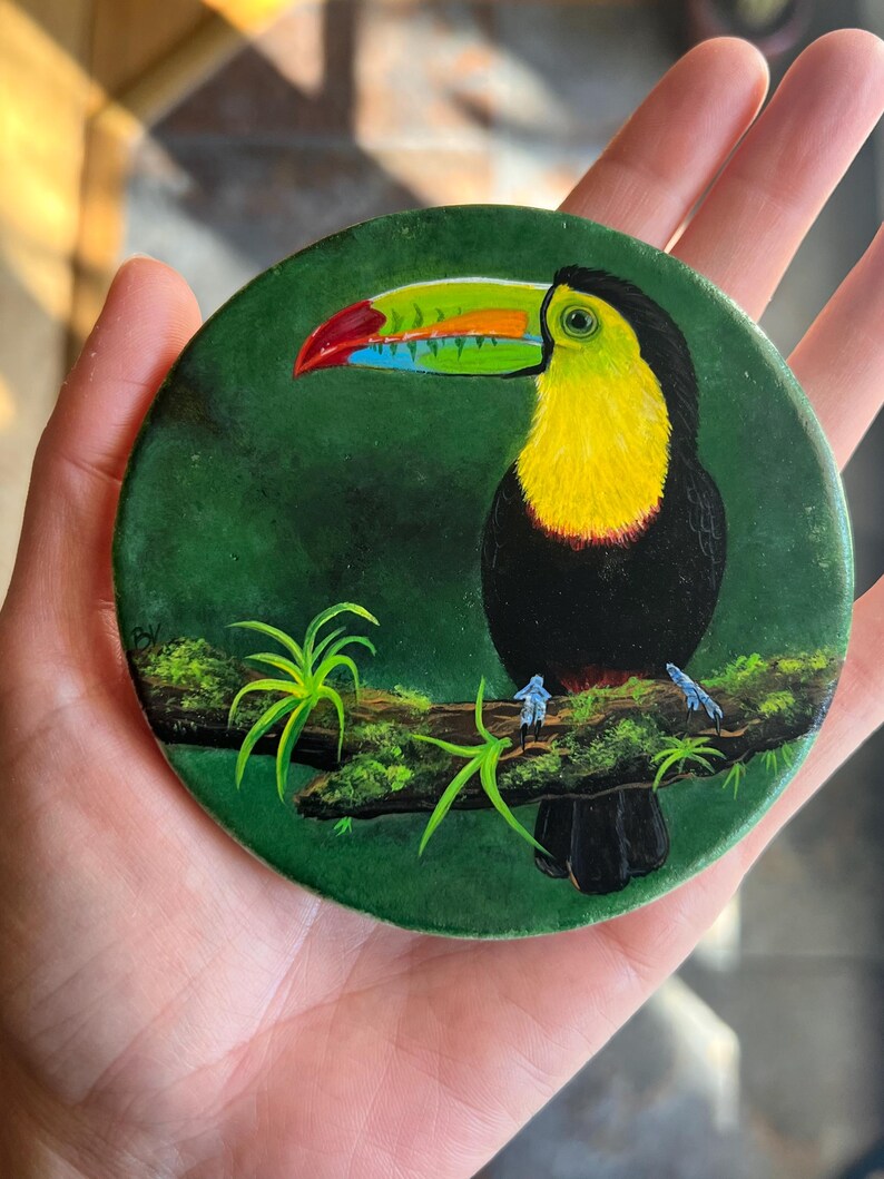Hand-painted Toucan on Santorini Stone - Original Art Acrylic Wildlife ...