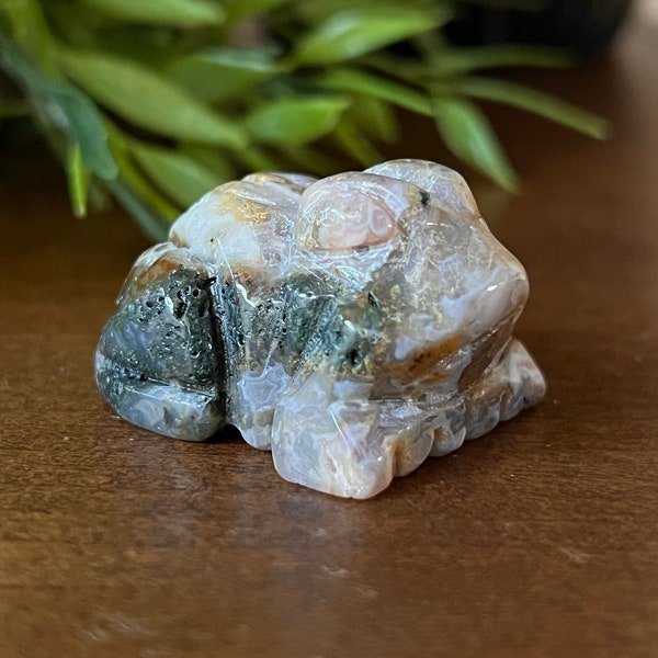 Frog Home Decor - Etsy