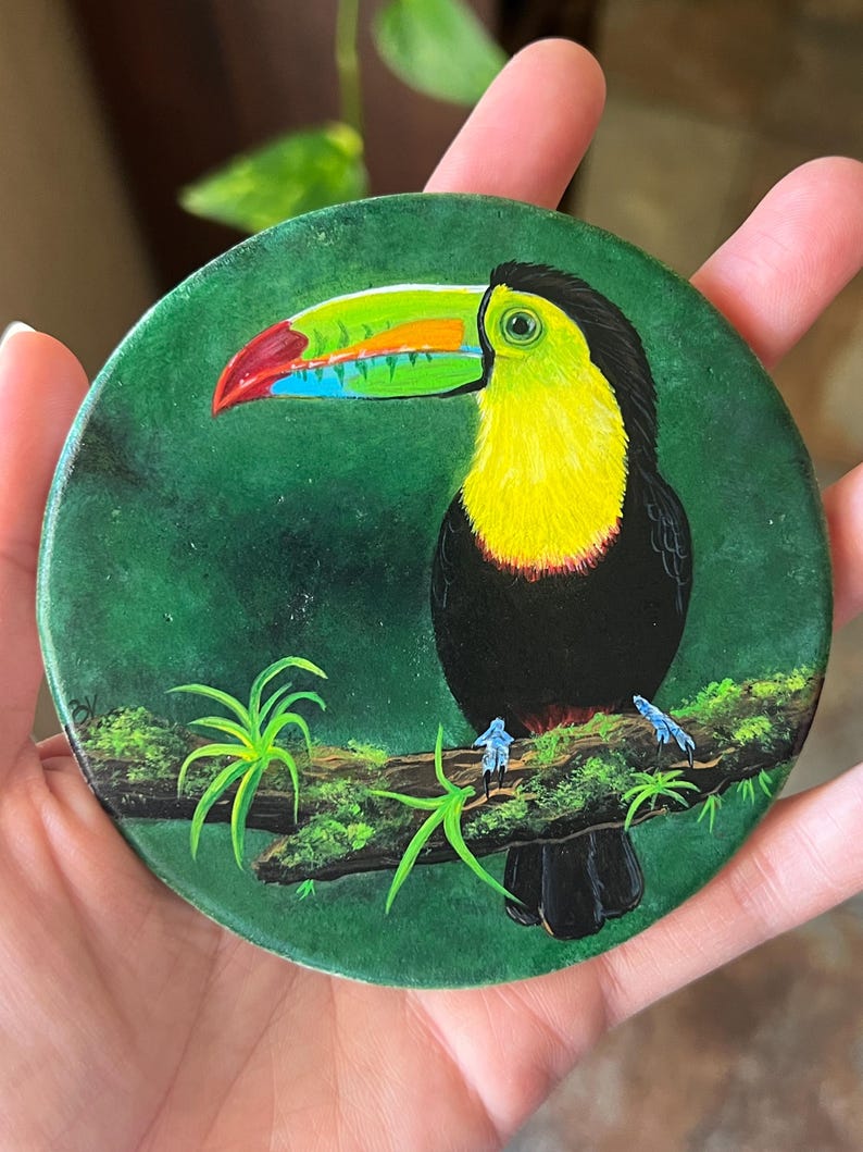 Hand-painted Toucan on Santorini Stone - Original Art Acrylic Wildlife ...