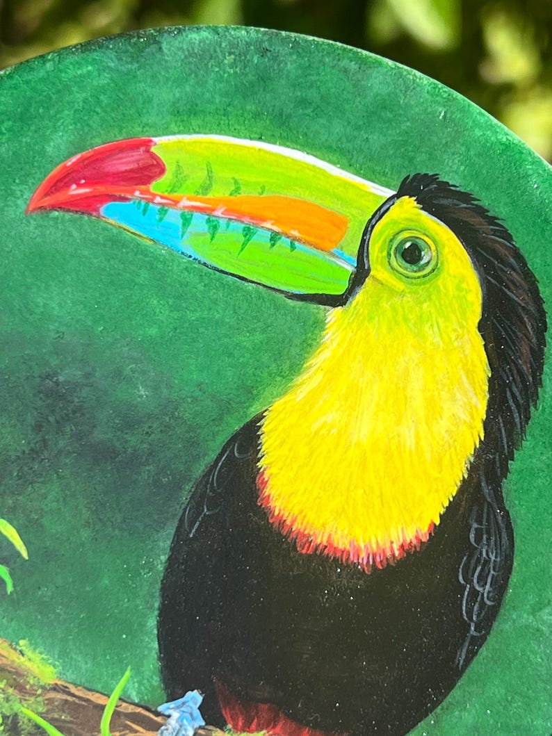 Hand-painted Toucan on Santorini Stone - Original Art Acrylic Wildlife ...