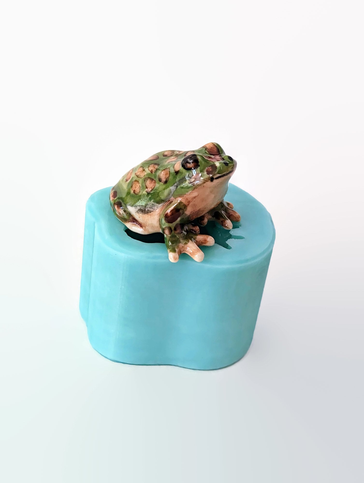 Frog Silicone Molds - Resin, Wax, Gypsum Casting - Etsy