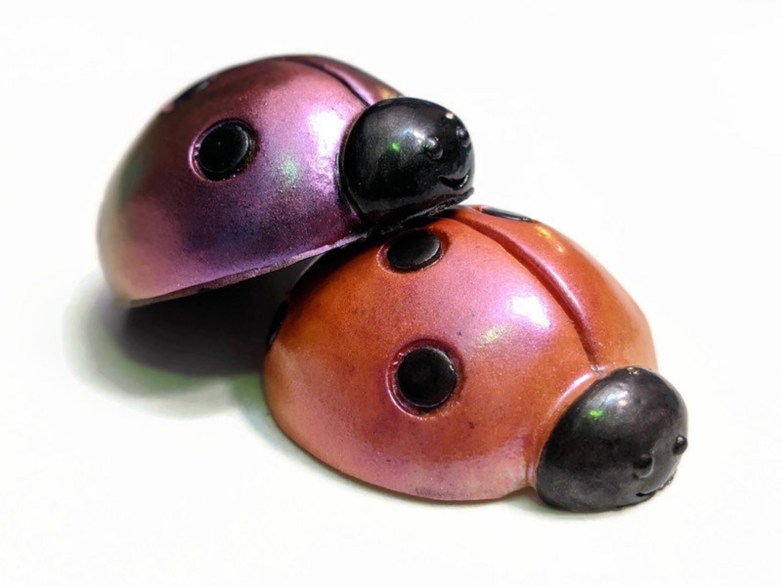 Ladybug Resin Mold Silicone Mold Make Your Own Insect Bug - Etsy Australia