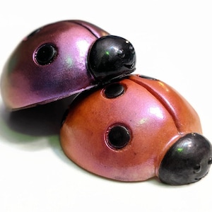 Ladybug Resin Mold Silicone Mold Make Your Own Insect Bug - Etsy