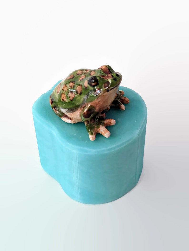 Frog Silicone Molds - Resin, Wax, Gypsum Casting - Etsy