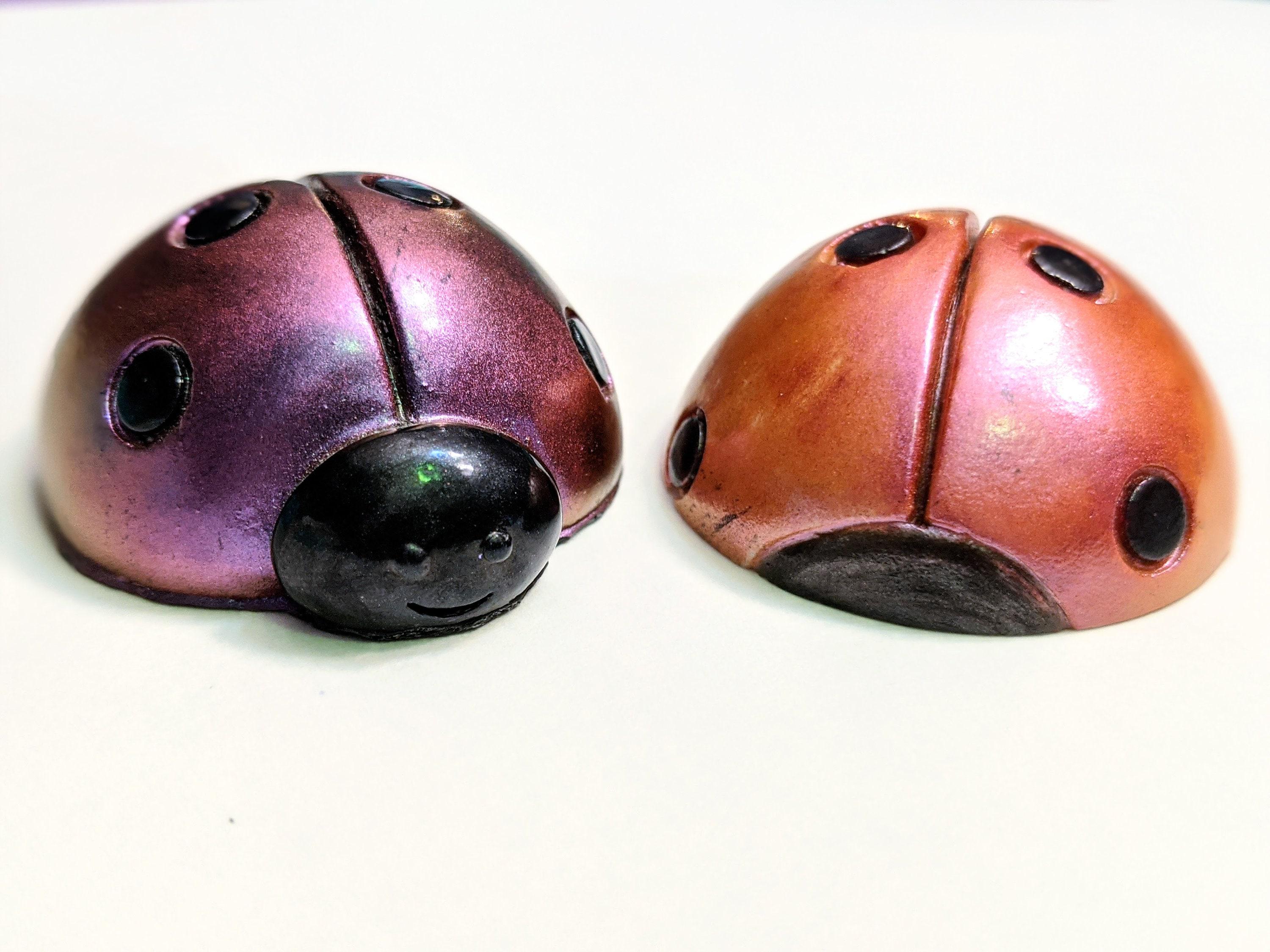 Ladybug Resin Mold Silicone Mold - Make Your Own Insect Bug Beetle ...