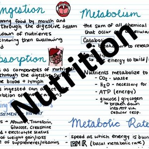 Nutrition Study Guide - Etsy