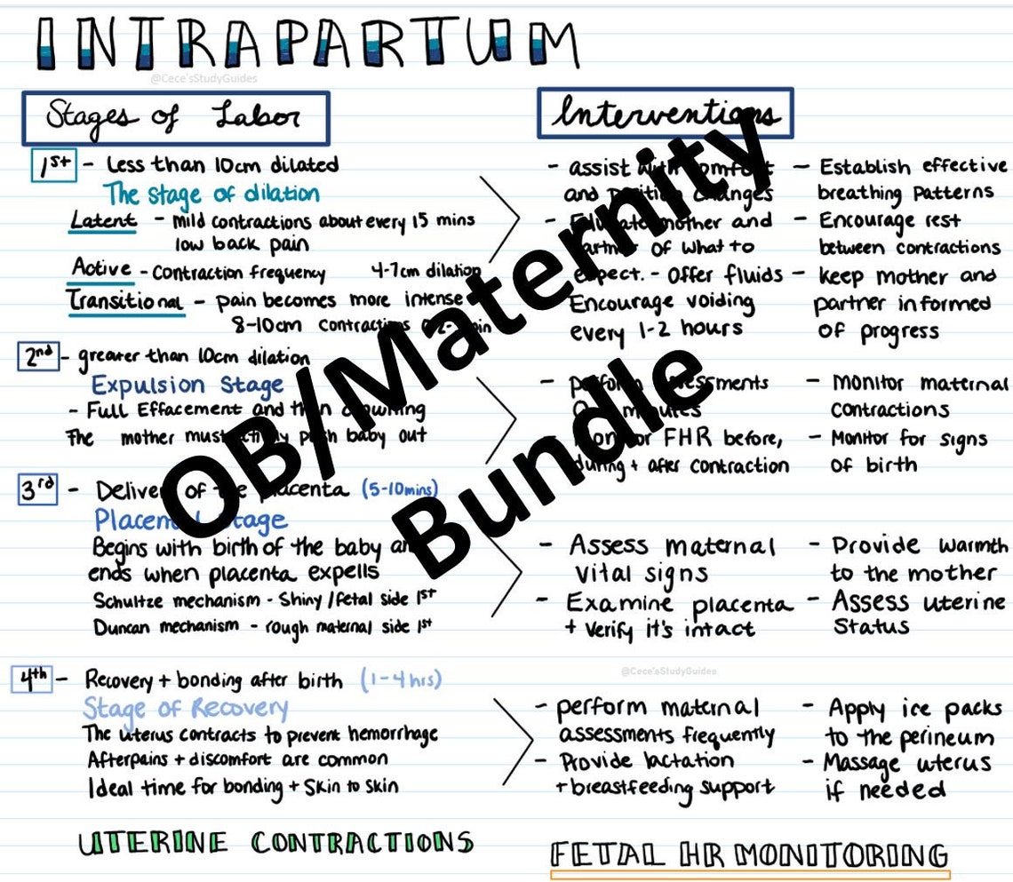 OB & Maternity Bundle ~ Nursing School ~ NCLEX Notes ~ Cece’s Study ...