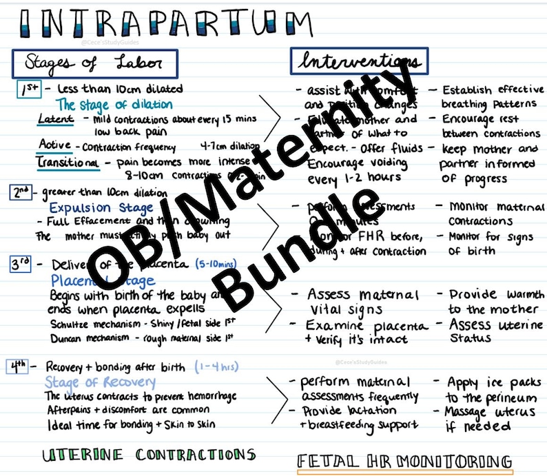 OB & Maternity Bundle ~ Nursing School ~ NCLEX Notes ~ Cece’s Study ...