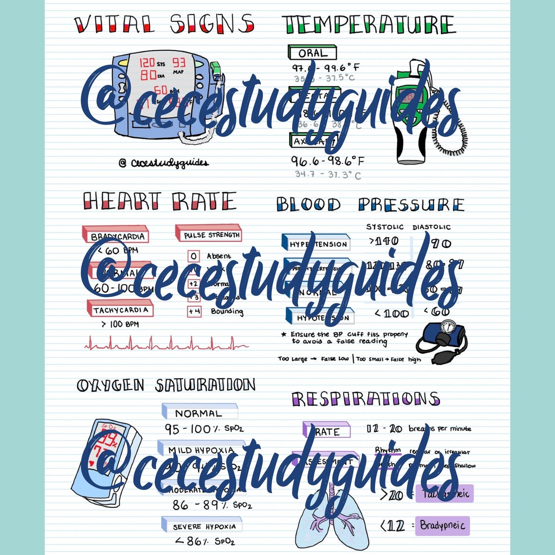 Vital Signs - Nursing Notes and Study Guides by Cece - Etsy