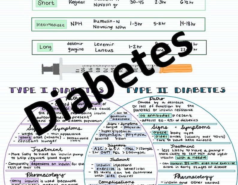 Diabetes Nursing Study Guide Cheat Sheet Notes for RN and - Etsy Canada