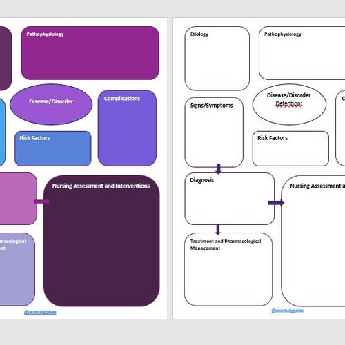 Anaphylactic Shock Nursing Concept Map - Etsy