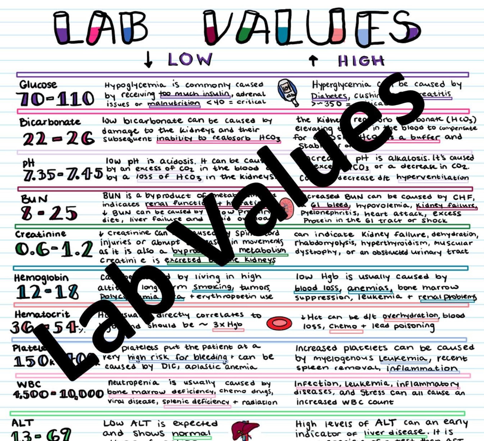 Lab Values - Etsy