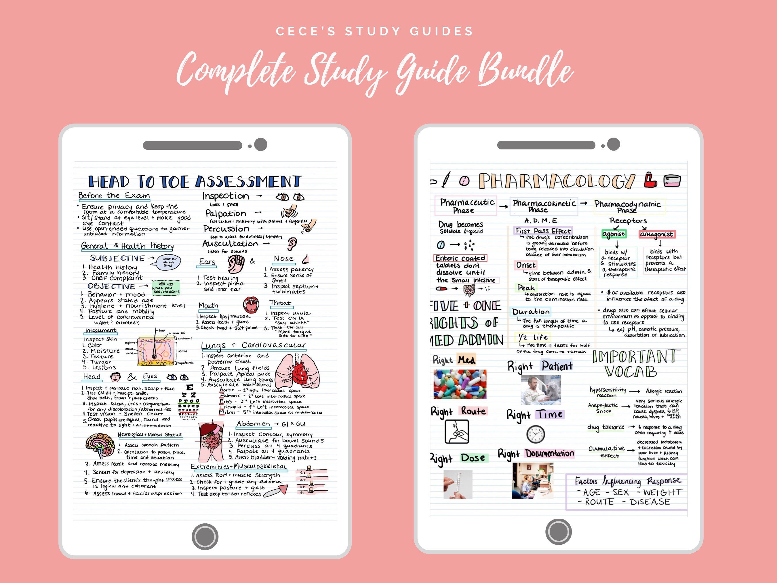 DIGITAL Complete Study Guide Bundle For Nursing Students Etsy Norway
