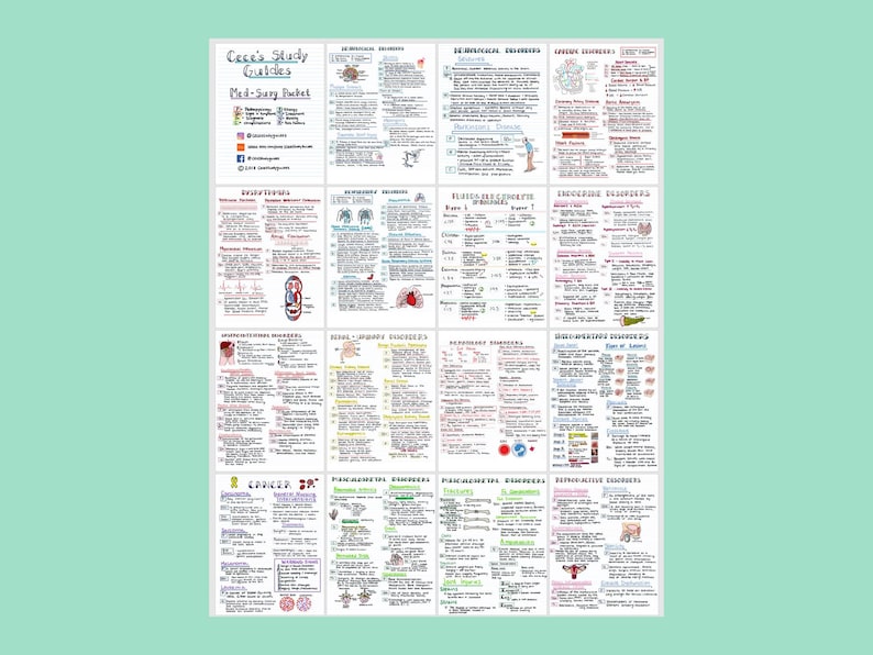 Med-surg Basics Bundle ™ Nursing Study Guide Nursing Cheat - Etsy Med-surg Basics Bundle ™ Nursing Study Guide Nursing Cheat - Etsy