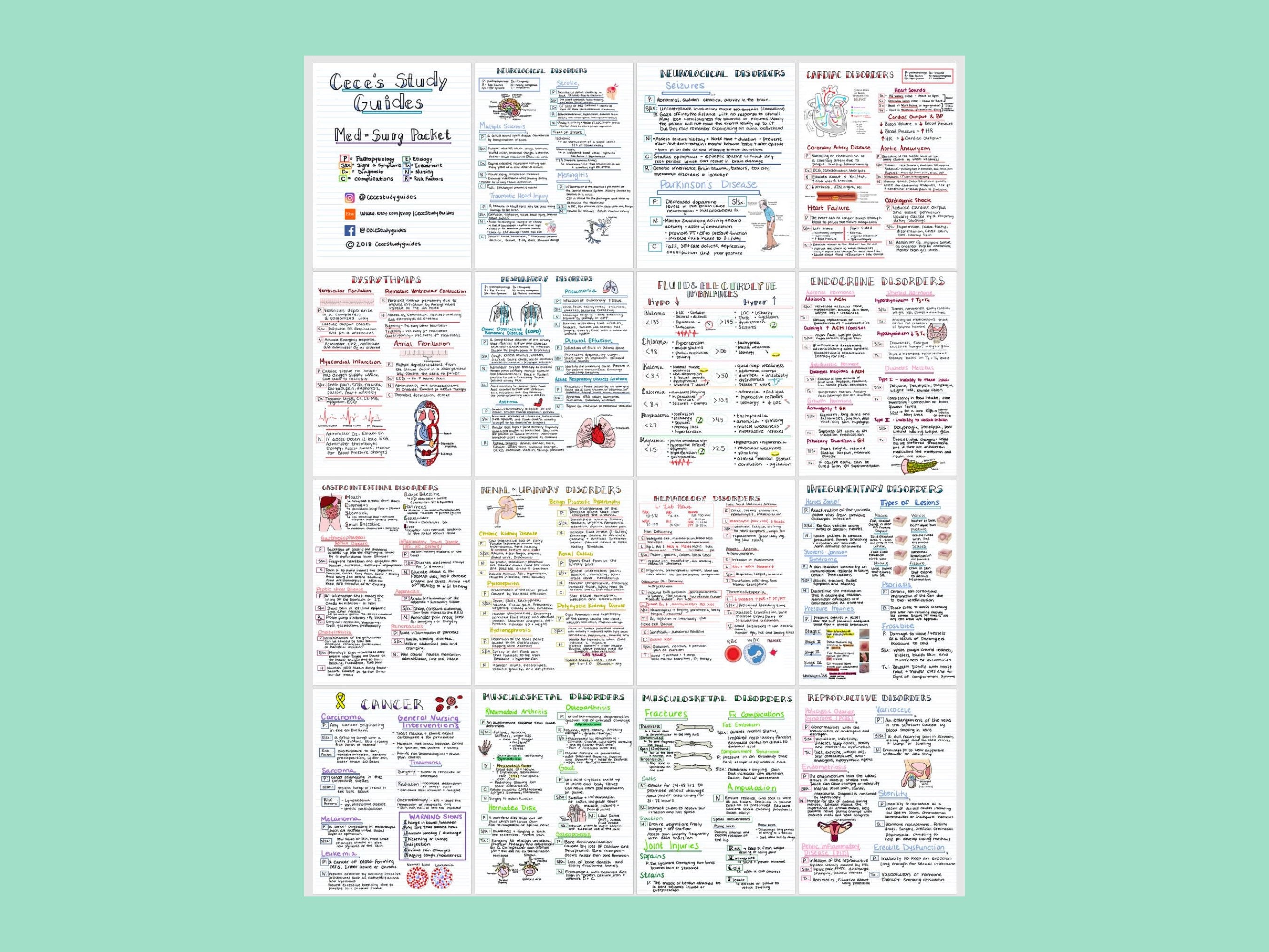 Med-surg Basics Bundle ™ Nursing Study Guide Nursing Cheat - Etsy Med-surg Basics Bundle ™ Nursing Study Guide Nursing Cheat - Etsy